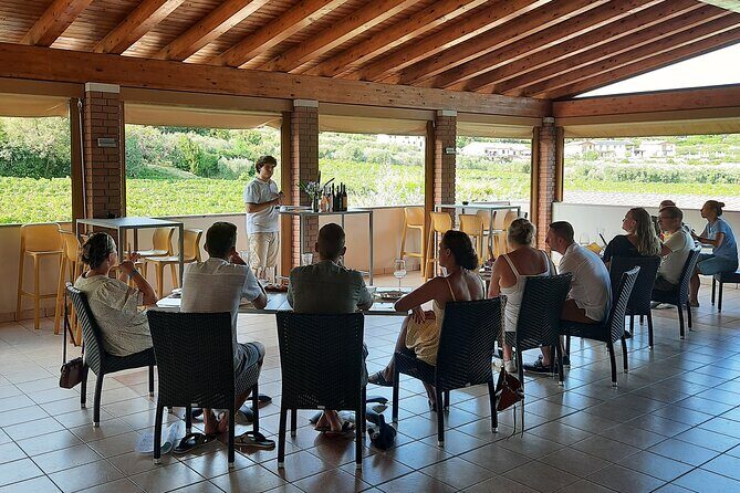 Bardolino: vineyard tour, wine, oil and food tasting - What Sets This Tour Apart?