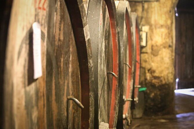Barolo & Barbaresco Wine Tour with a Winemaker - Authenticity and Local Flavor