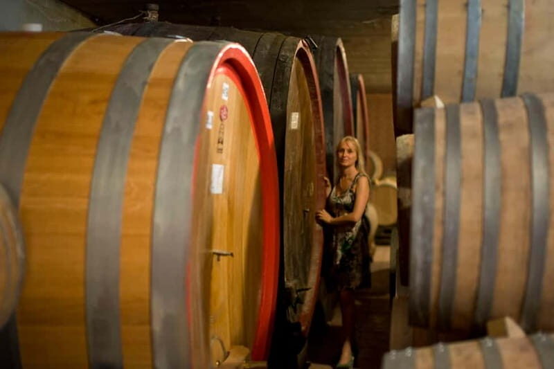 BAROLO: GUIDED VISIT TO THE WINERY AND TASTING WITH THE PRODUCER - What to Expect During the Visit