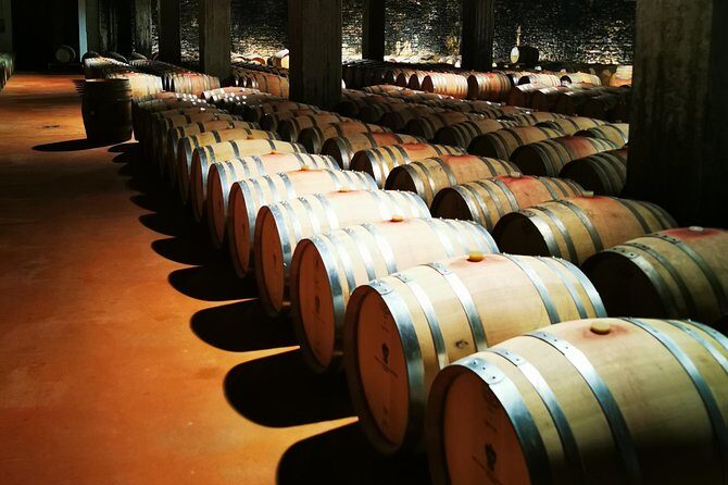 Barolo&Barbaresco Wine Experience with a local winemaker - An In-Depth Look at the Experience