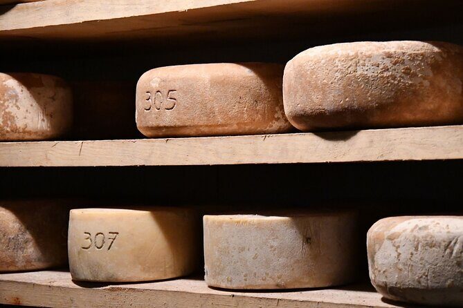 Basque Country Food Tour - Who Will Love This Tour?