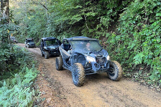 Batumi: Mtirala ATV, Buggy Maverick RZR & Horse Riding Adventure - FAQ