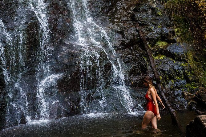 Batumi & Mtirala N.P. Hiking tour from Kutaisi - The Sum Up