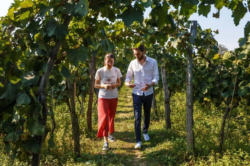 Batumi to Kutaisi, Wine & Dine - Who Will Love This Tour?
