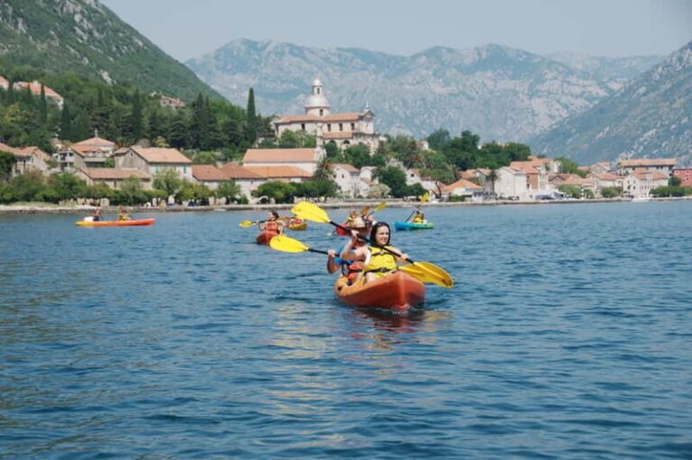 Bay of Kotor: 2.5-Hour Kayak Tour - Practical Tips for Your Kayaking Adventure