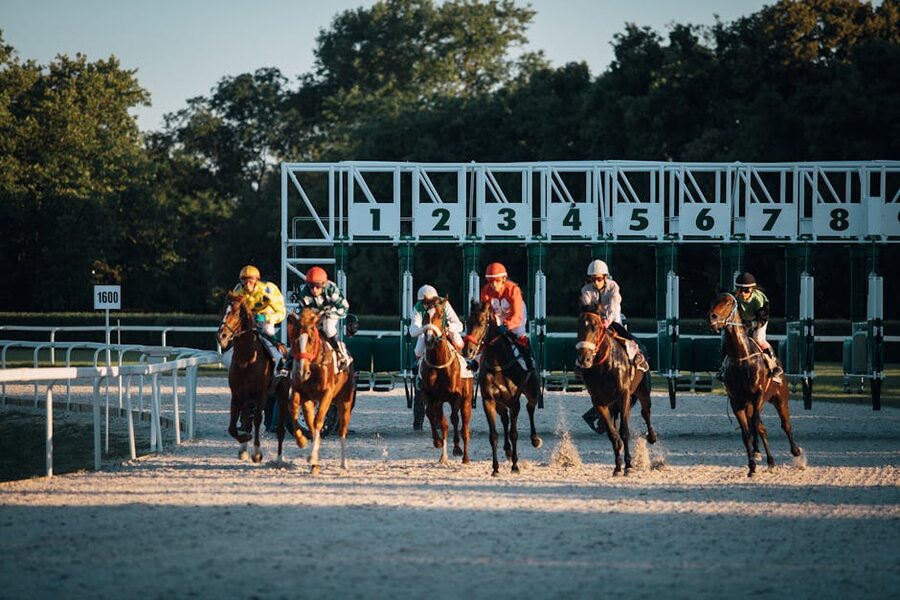 Thoroughbred horses racing out of the starting gate