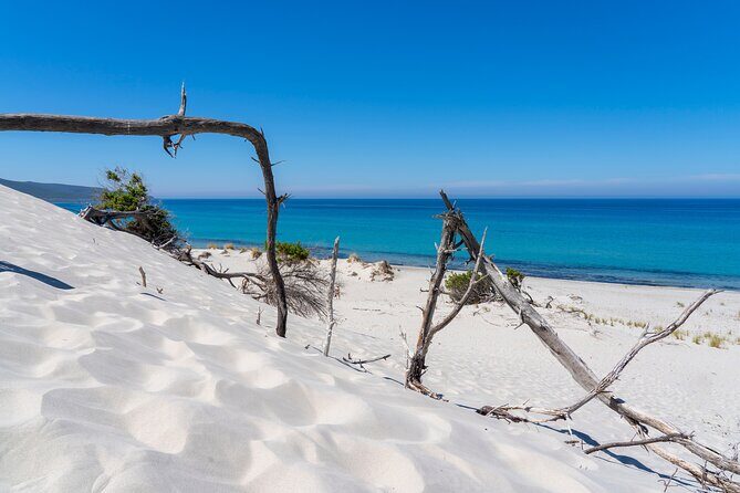 Beach Tour Porto Pino and Piscinnì - In-Depth Look at the Itinerary