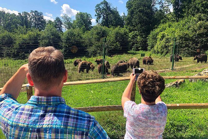 Bear Sanctuary, Bran (Dracula) Castle, Peles Castle From Brasov - Who Should Consider This Tour?