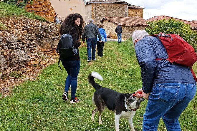 Beaujolais Day Guided Tour - Winery Tours and Tastings - Midday: Lunch in Mont Brouilly
