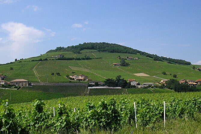 Beaujolais Half Day Wine Tasting Tour - Transportation, Timing, and Group Size