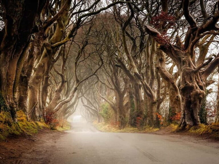 Belfast: Giant's Causeway Tour and 2-Day Open Top-Bus Tour - The Belfast City Tour: Exploring the Urban Landscape