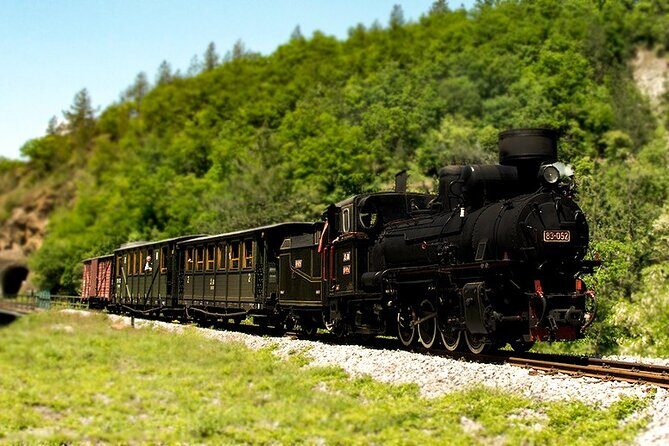 Belgrade: Mokra Gora, argan 8, Drina river house Full Day Tour - Practical Tips for Your Trip