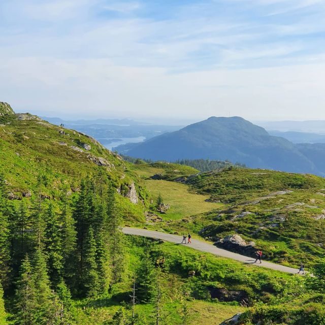 Bergen: Guided mountain hike on top of Bergen - Why Choose This Guided Hike?