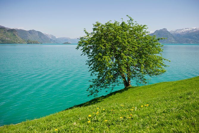 Bergen: Private Full-Day Roundtrip to Hardangerfjord with cruise - Itinerary Breakdown: What You’ll Experience