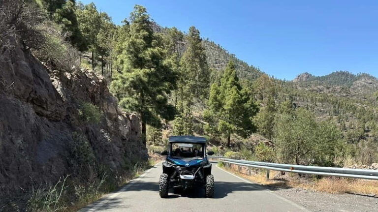 BEST FAMILY & FRIENDS FUN BUGGY TOUR - Final Thoughts: Is It Worth It?