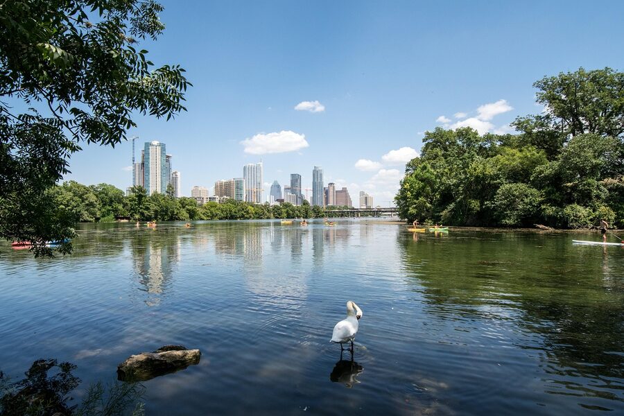 Lady Bird Lake with a kayak and Austin skyline