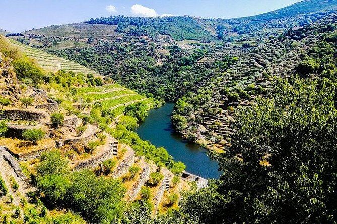 Best of Douro Valley Wine Full Day Private Tour - An In-Depth Look at the Douro Valley Private Tour
