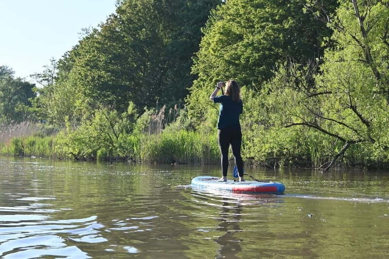 Biesbosch: SUP Board Rental - What is the Biesbosch SUP Board Rental?