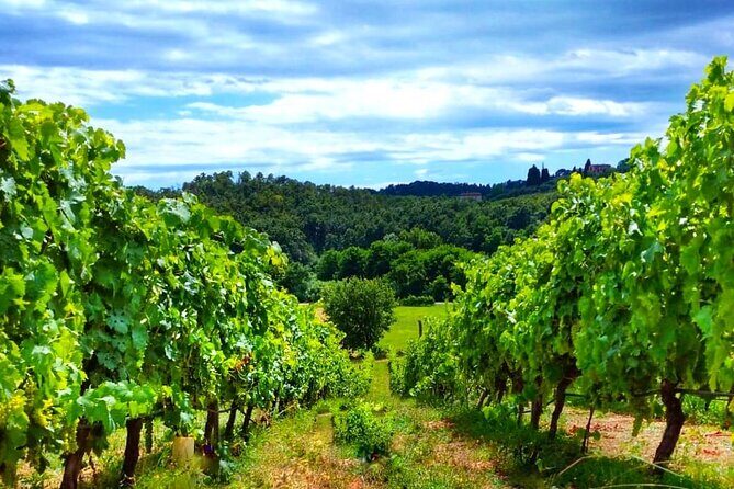 Bike Ride & WIne Tasting - What’s Included — and What’s Not