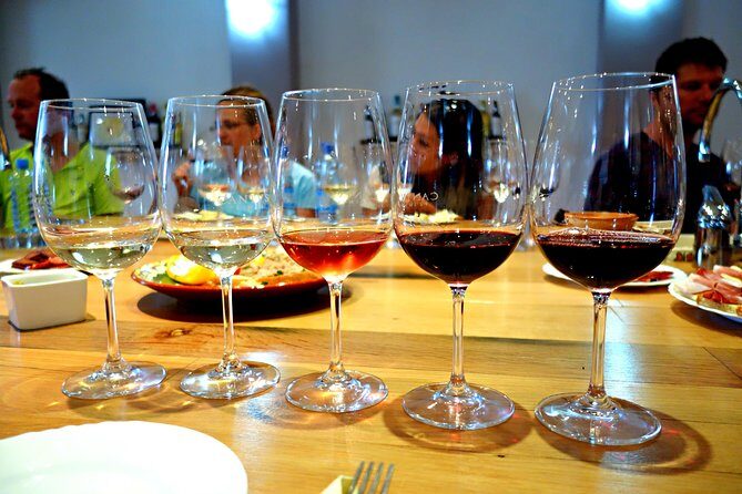 Bike & Wine tour in Dealu Mare wineland - The Sum Up: Who Should Book This Tour?