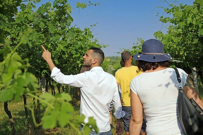 Biodynamic Farm and Natural Wines Tasting in Lazise - Why This Tour Works for You