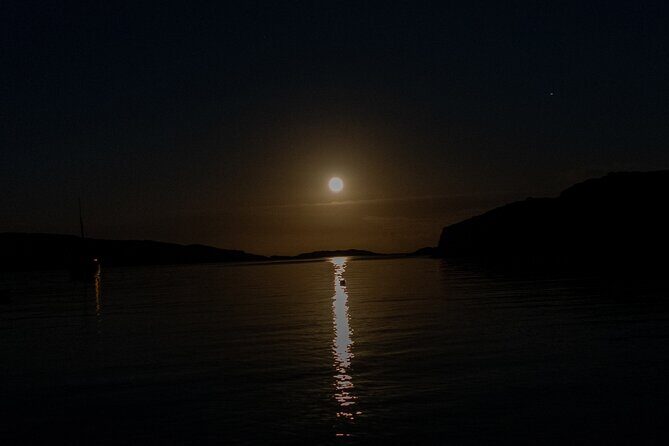 Bioluminescent Swim Experience in West Cork with Storytelling - Overview of the Experience