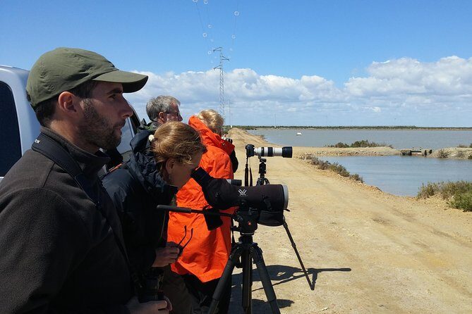 Birding & Photography Day Trip to Doñana from Seville - Guides and Group Size