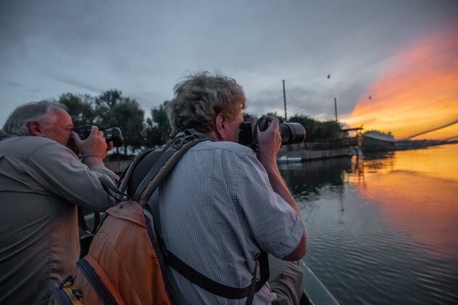 Birdwatching by boat in a small group in the Pialassa Baiona - Why This Birdwatching Tour in Pialassa Baiona is Worth It