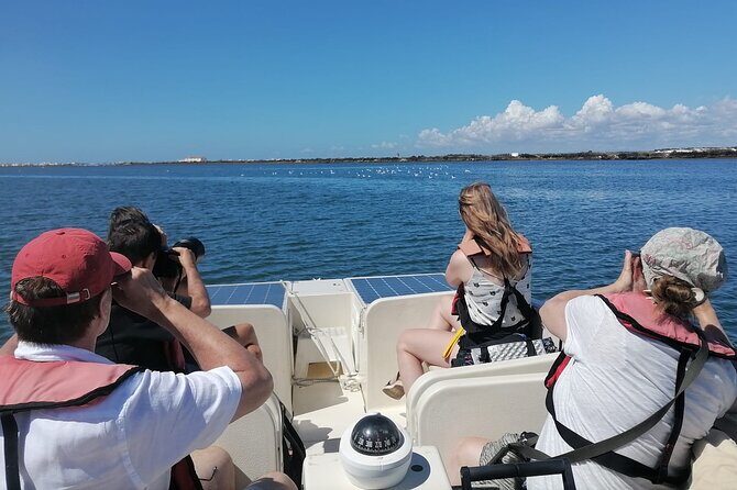 Birdwatching in Ria Formosa - Eco Boat Tour from Faro - The Practicalities: What to Expect