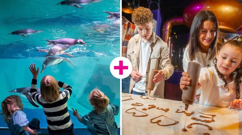 Birmingham: Cadbury World & SEA LIFE Birmingham - Why This Tour Offers Great Value