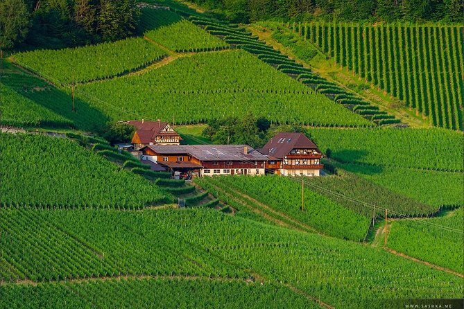 Black Forest. From Baden-Baden to Strasbourg. Two countries in one day - What the Reviews Say