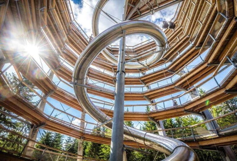 Black Forest: Treetop Walk & Lookout Tower Experience - Reaching the Lookout Tower