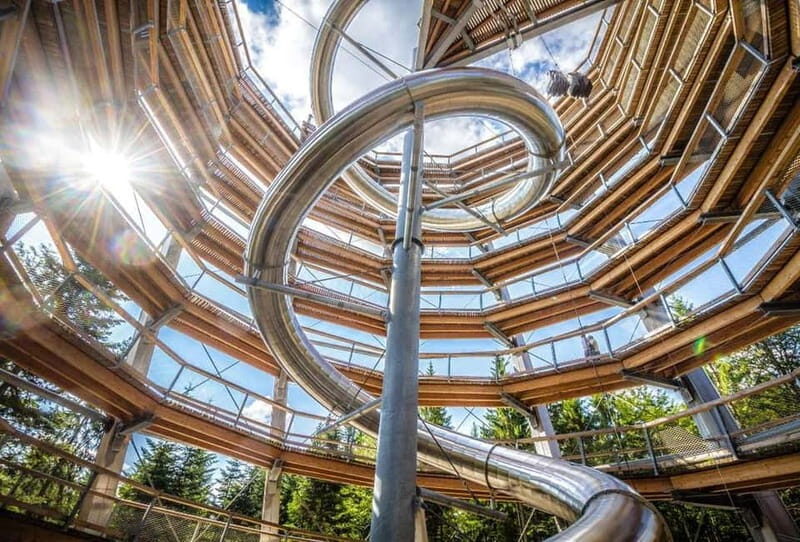 Black Forest: Treetop Walk & Lookout Tower Experience - Reaching the Lookout Tower