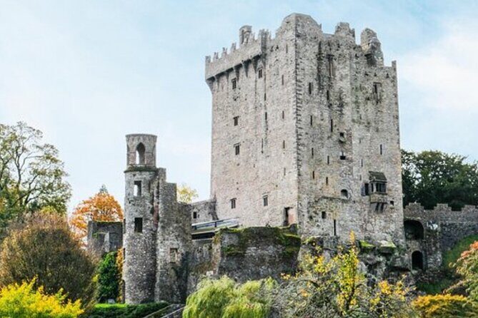 Blarney Castle and The Rock of Cashel with Private Chauffeur Tour - The Experience from the Travelers Perspective