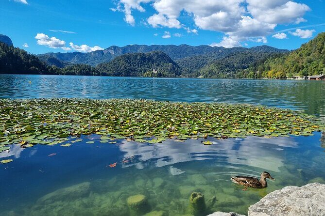 Bled Lake and Ljubljana Extra Small Group Tour from Zagreb - Ljubljana: A Green, Walkable Treasure