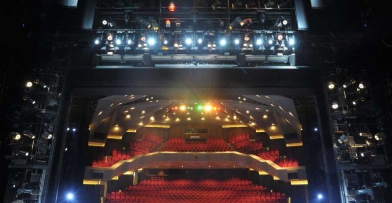 Blick hinter die Kulissen  Führung: Staatstheater Darmstadt - Who Will Love This Tour?