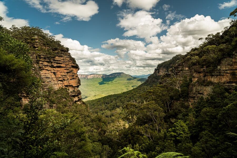 Blue Mountains cliffs and lush greenery in NSW, Australia