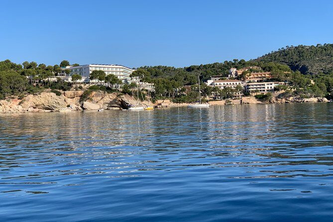 Bluemarine.me license free Bayliner Element E5 rental - Practical Details and Booking Tips