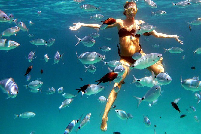 Boat Tour and Snorkeling Golfo di Olbia Private up to 6 people - The Itinerary: What to Expect