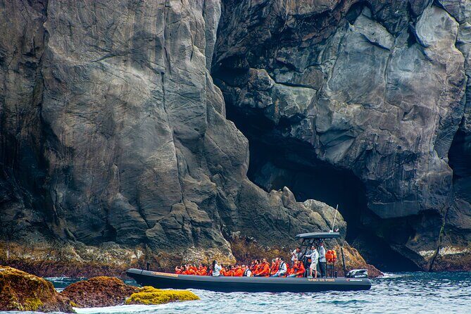 Boat Tour: Caves & Cliffs Tour on the Wild North Coast - Final Thoughts