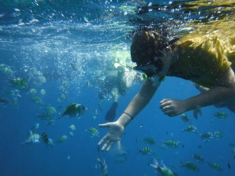 Boat tour from Avola to Portopalo with visit of Marzamemi - What We Loved About the Tour