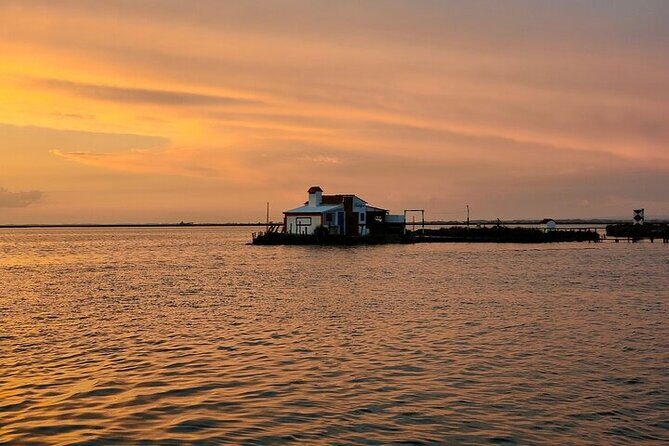 Boat tour of the highlights of the Ria - Practical Details and What to Expect