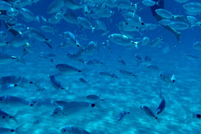 Boat Tour to Sella del Diavolo: Snorkeling, GoPro & Beer - Who Is This Tour Best For?