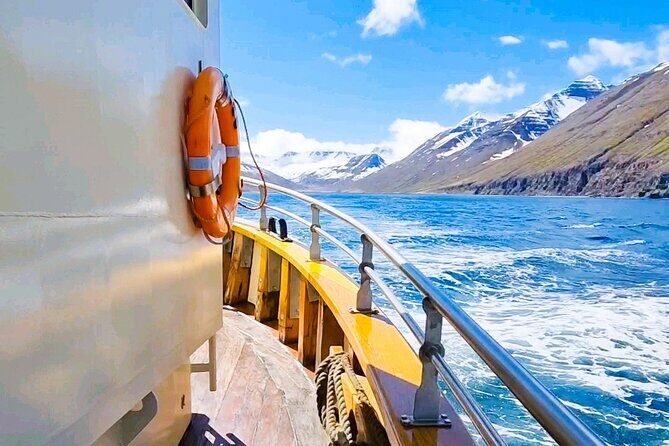 Boat Tours from Siglufjörður - The Real Experience: Reviews and Authentic Insights