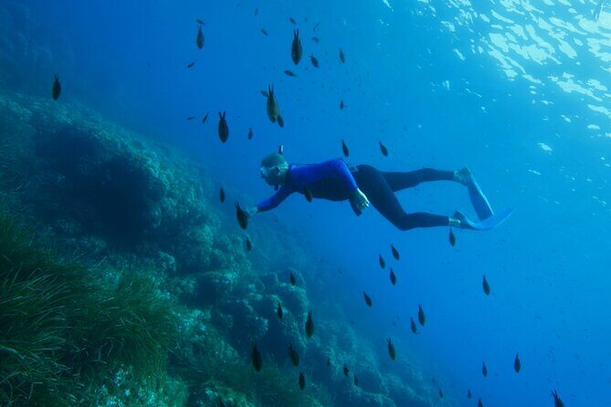 Boat trip and snorkeling in Villefranche - sur - Mer - The Snorkeling Experience: What You’ll See and Do