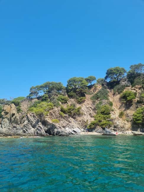Boat trip around Porquerolles and Giens - Setting Out from Port de Carqueiranne