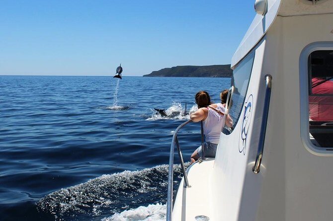 Boat Trip for Dolphin Watching along the Arrabida Coast and Sesimbra - Practical Details & Tips