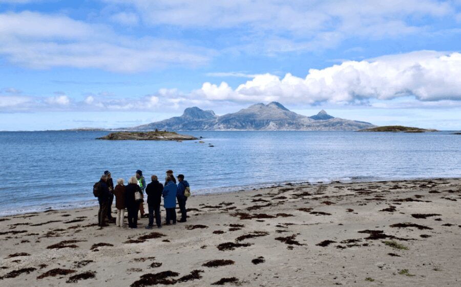 Bodø: Arctic Coastal Walk - Who Is This Tour Perfect For?