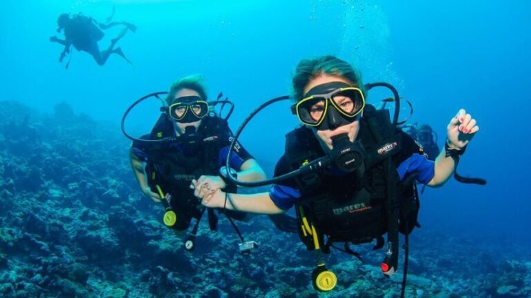 Bodrum: Full-Day Scuba Diving Tour - Practical Tips for Travelers