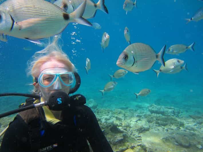 Bodrum: Scuba Diving Trip with Lunch - Detailed Breakdown of the Tour
